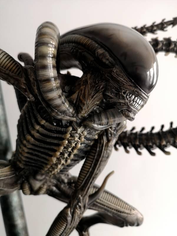 Scorpion Alien - Xenomorphine