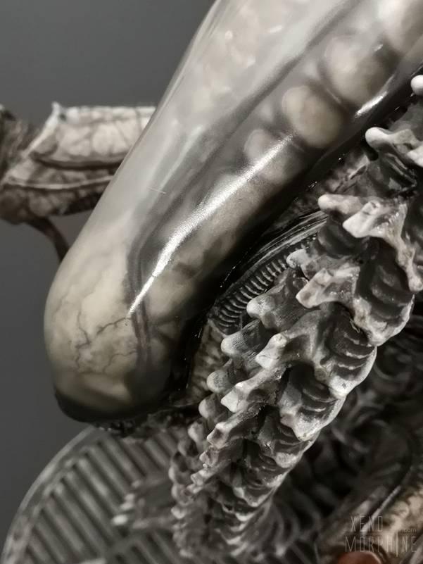 alien hangman crickweb